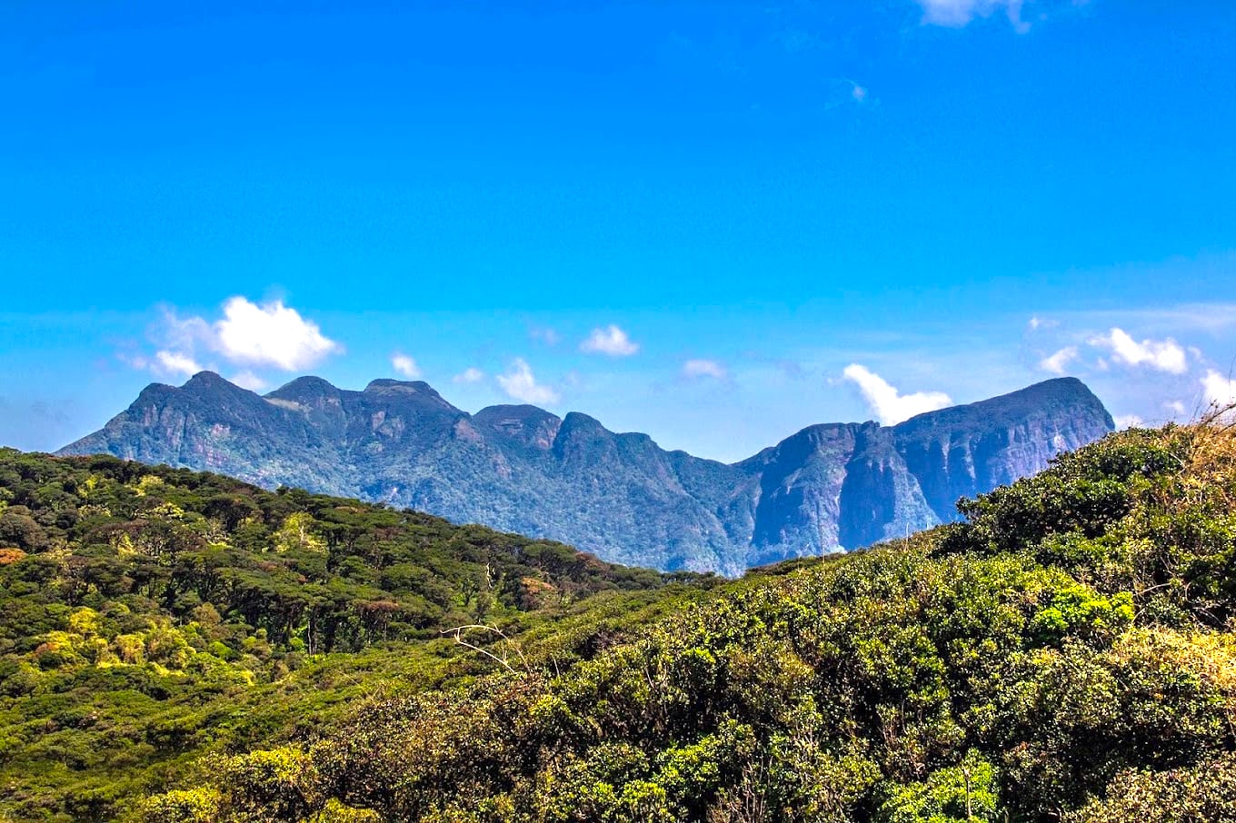 The Knuckles Mountain Hiking List - TRAILOKA