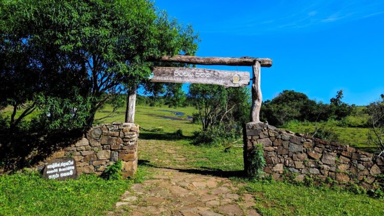 Explore Knuckles Manigala – A Trekker's Paradise in Sri Lanka - TRAILOKA